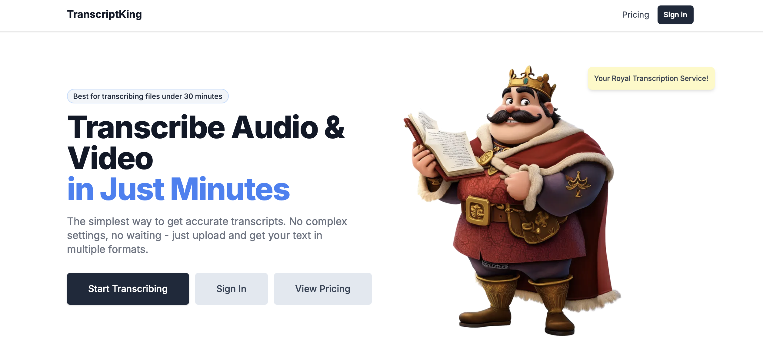 TranscriptKing - Professional Audio & Video Transcription